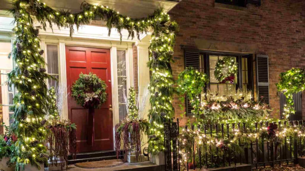 17 Outdoor Plants to Decorate Your Christmas