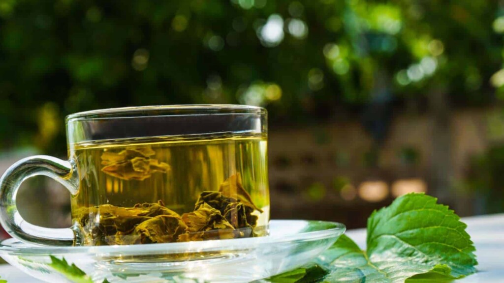 Edible Tree Leaves: 11 Trees That Offer Delicious Leafy Goodness