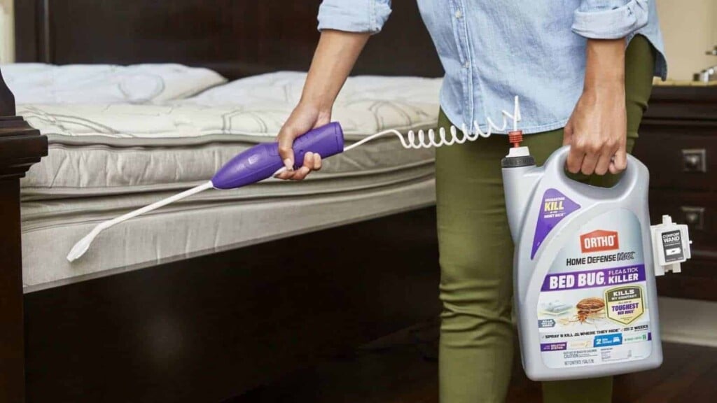 The 11 Best Bed Bug Spray of 2023 (And What to Look For)