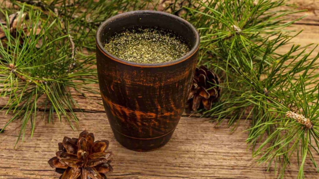 Edible Tree Leaves: 11 Trees That Offer Delicious Leafy Goodness