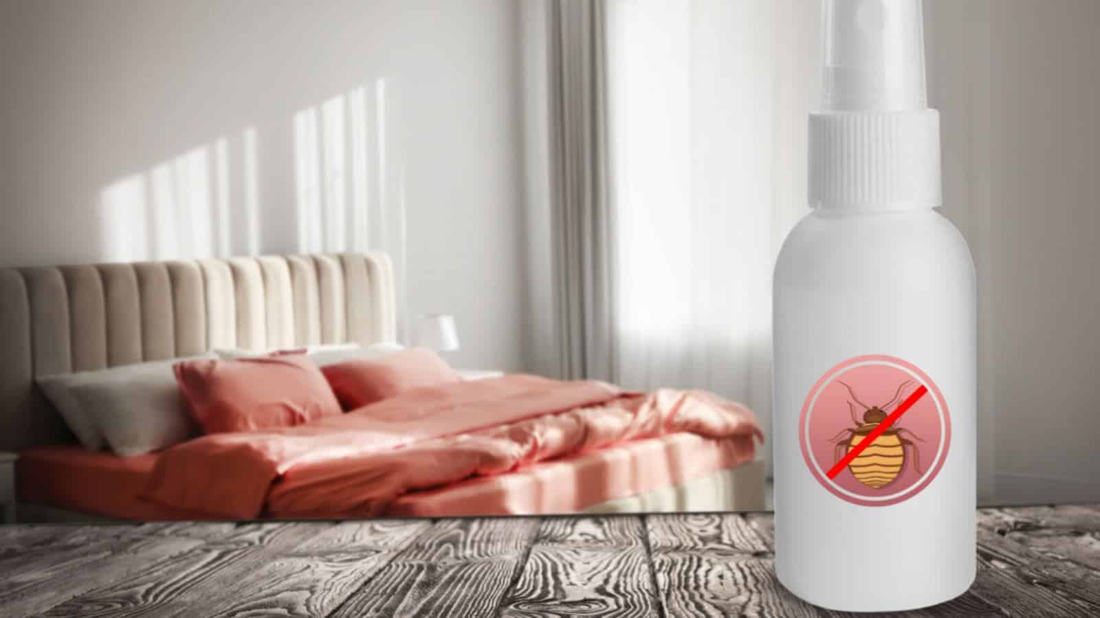 The 11 Best Bed Bug Spray of 2023 (And What to Look For)