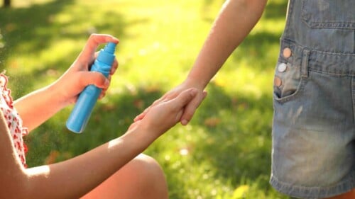 No See Ums: What They Are and How to Get Rid of Them