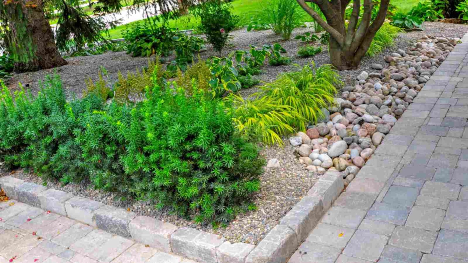 A Dozen Lawn-Free Landscaping Designs to Enchant Your Yard