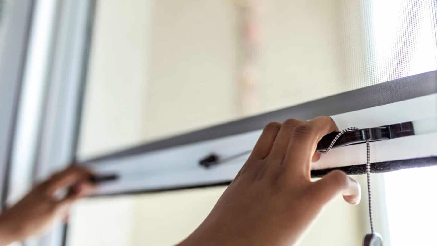 No See Ums: What They Are and How to Get Rid of Them