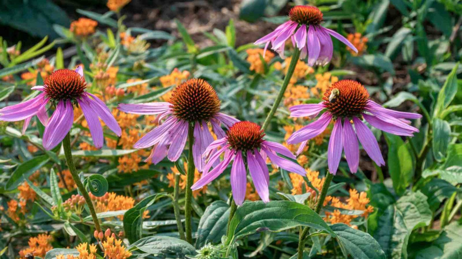 A Dozen Lawn-Free Landscaping Designs to Enchant Your Yard