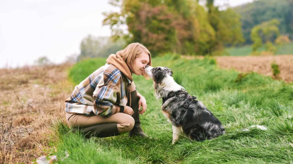 A Glimpse into the Happy Lives of 12 Farm Dogs | Planet Natural