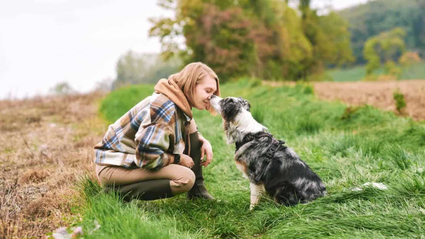 A Glimpse into the Happy Lives of 12 Farm Dogs | Planet Natural