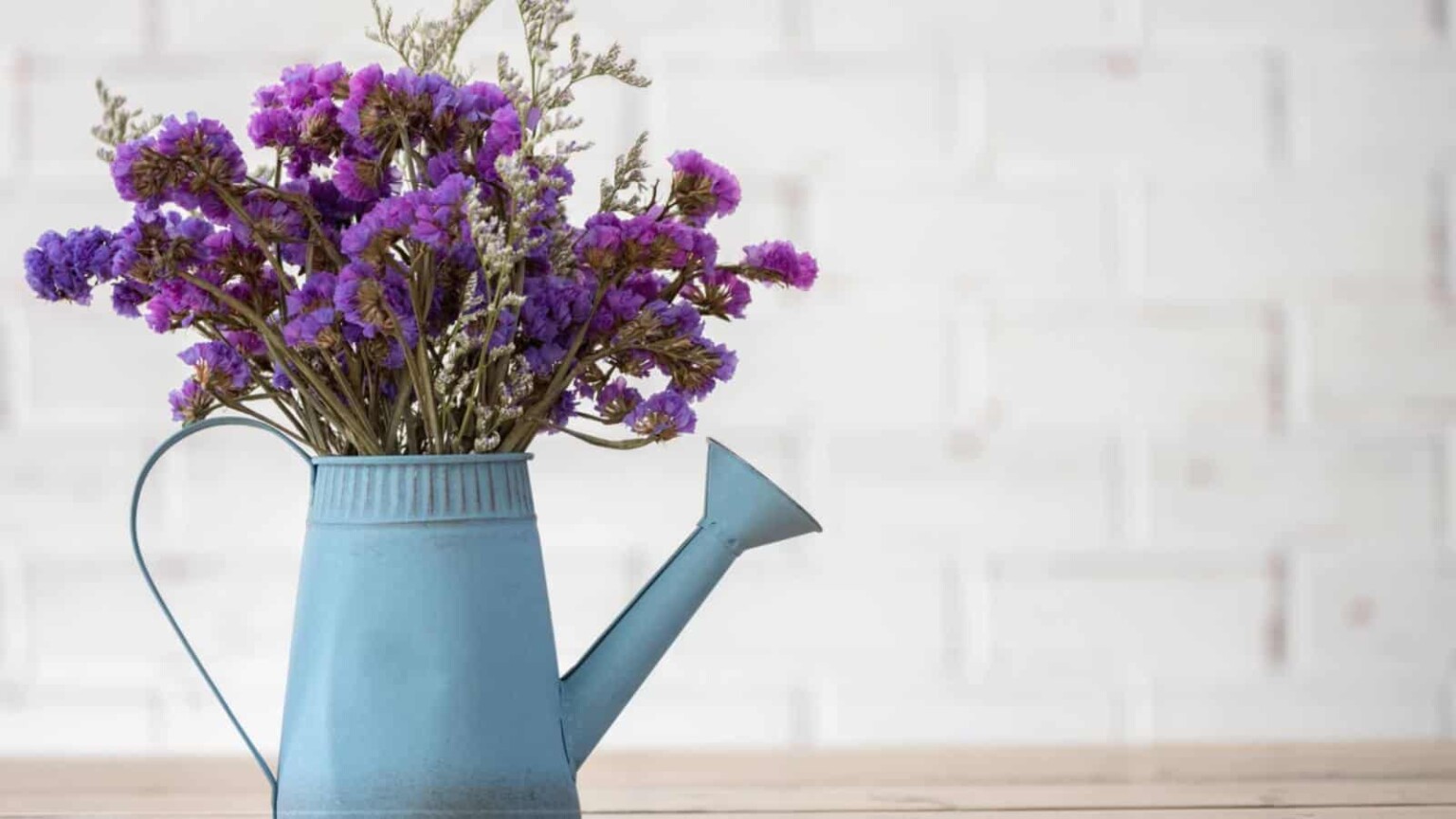 Hydroponic Flowers: The Best Choices for Indoor Gardens