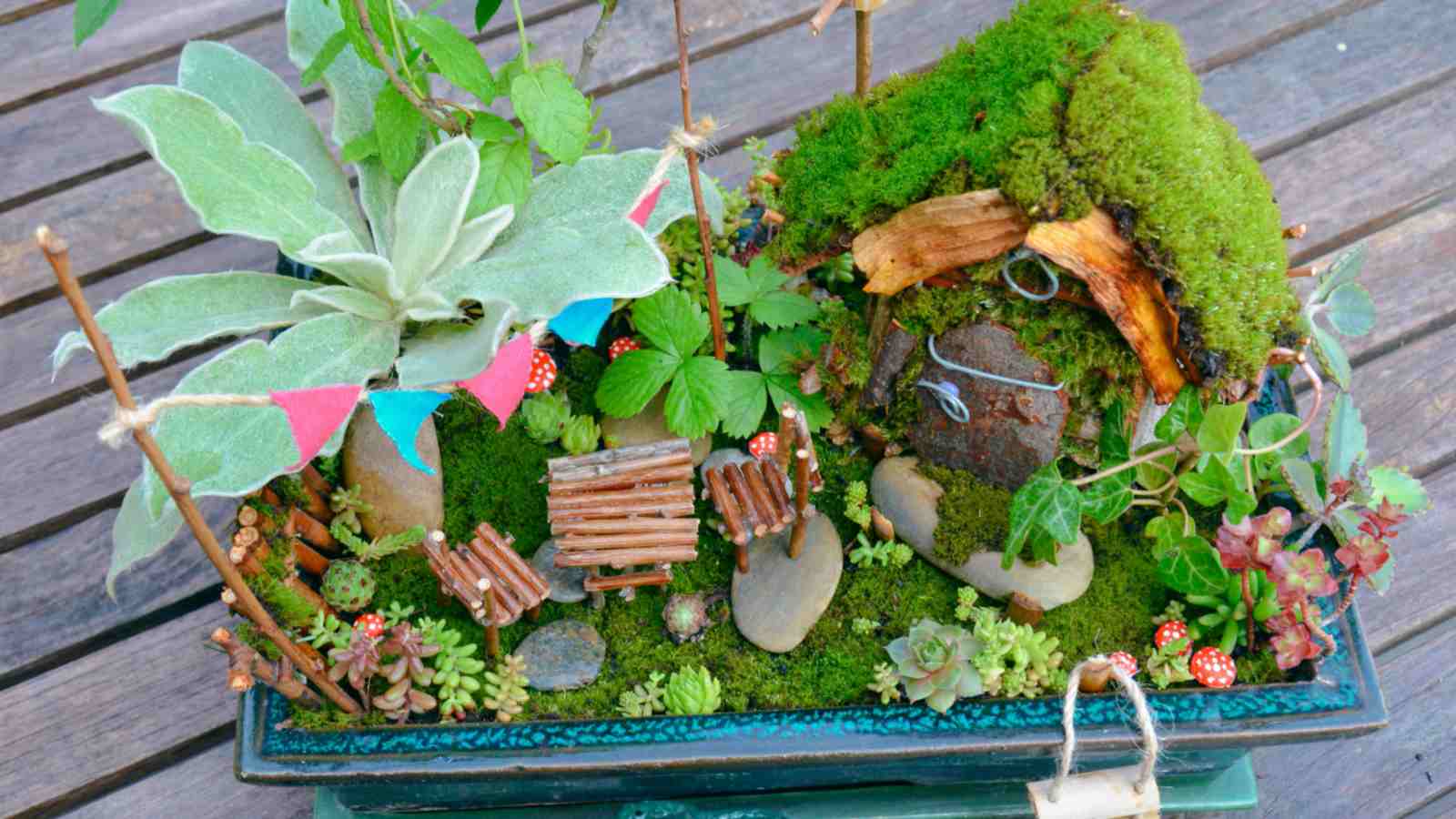 Beat the Winter Chill with These 12 Indoor Planting Ideas