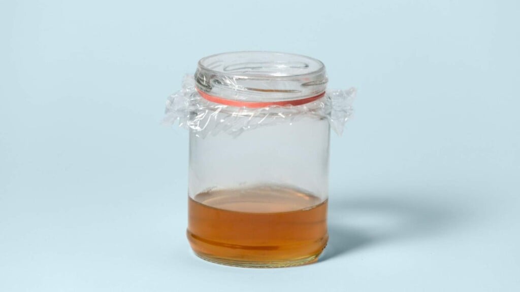 How to Make and Use DIY Fruit Fly Traps for Effective Control