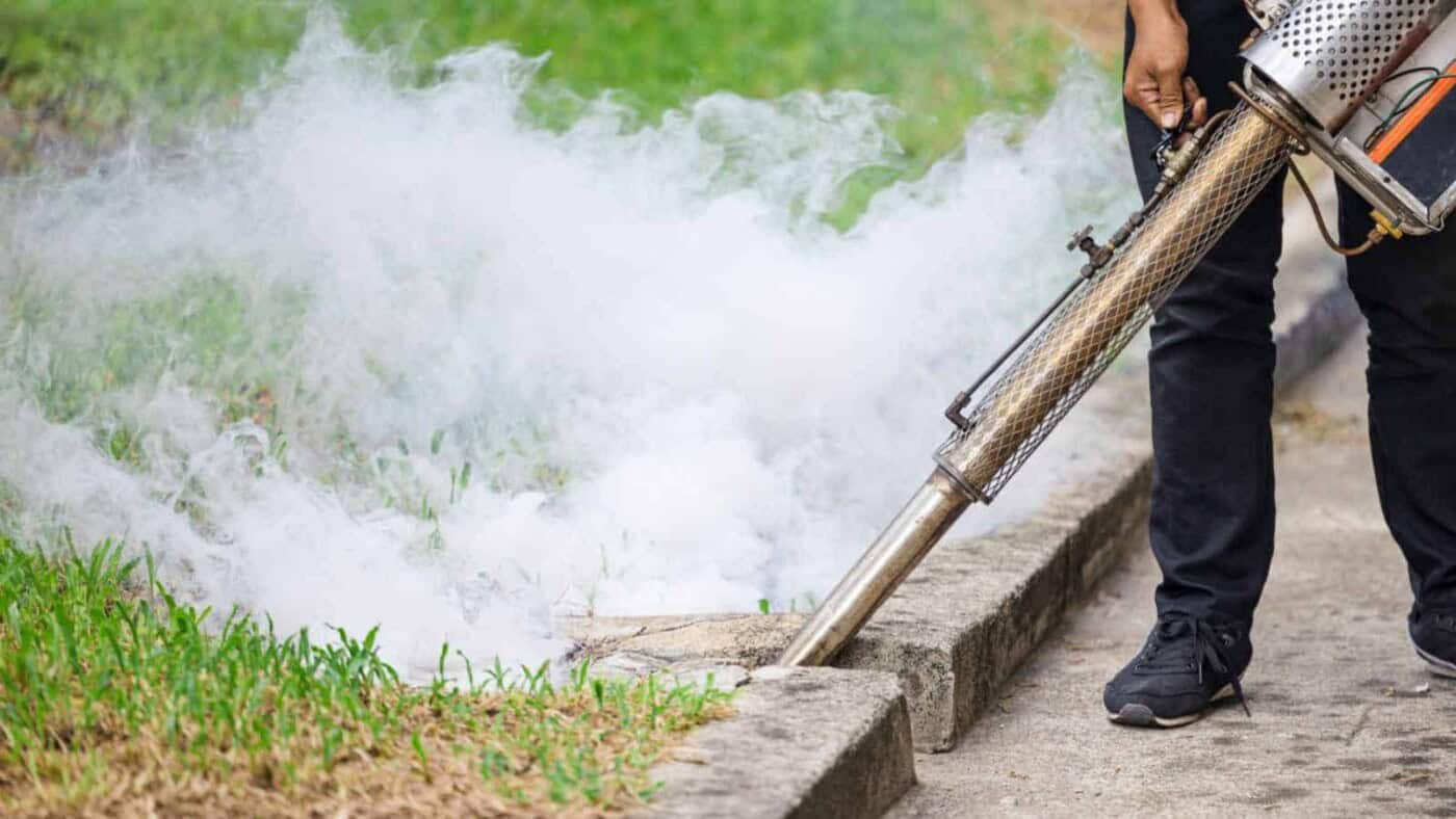 Are Roach Bombs Worth Using? What are the Common Problems?