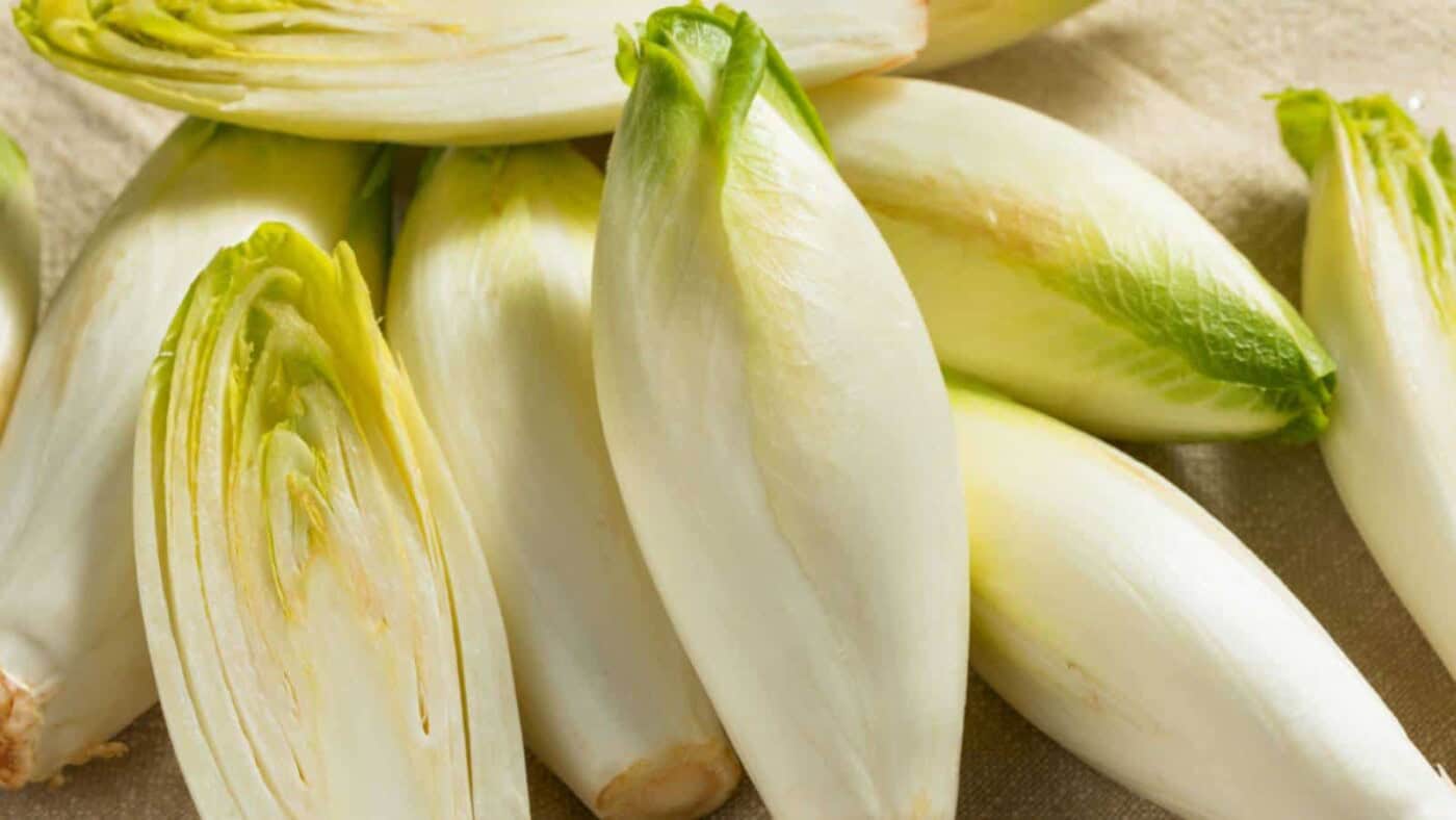 Endive: What is It, How Is It Grown, And How to Cook It