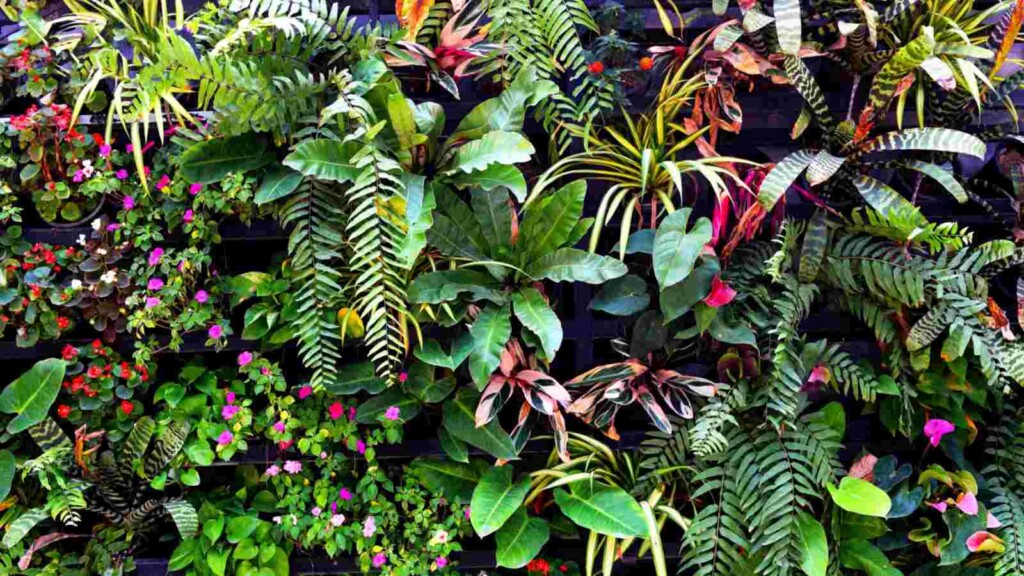 Save Your Spring By Avoiding These Common Gardening Mistakes
