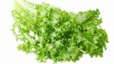 Endive: What is It, How Is It Grown, And How to Cook It