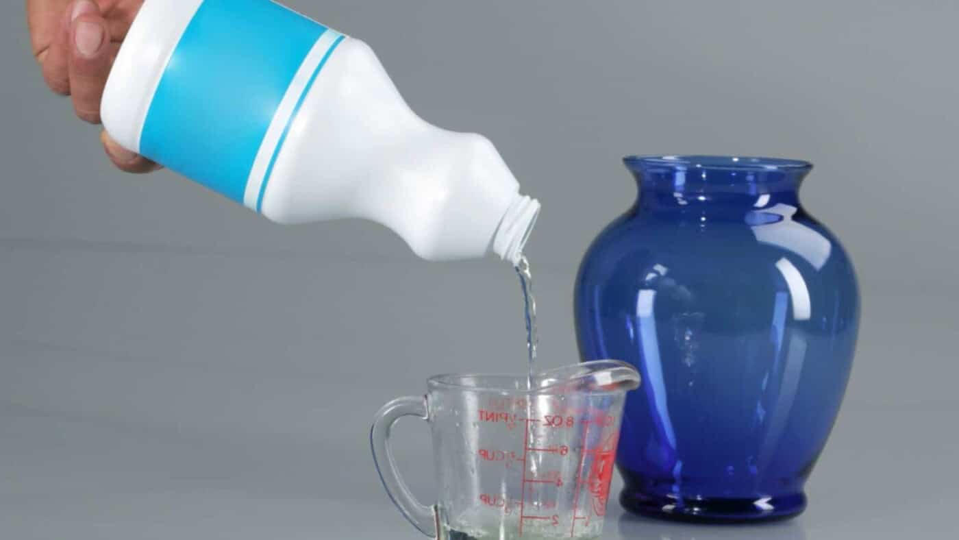 5 Easy Homemade Gnat Traps That Are Actually Effective