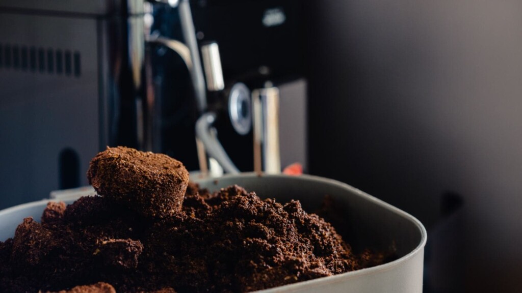 Using Coffee Grounds for Plants: A Beginner's Step by Step Guide