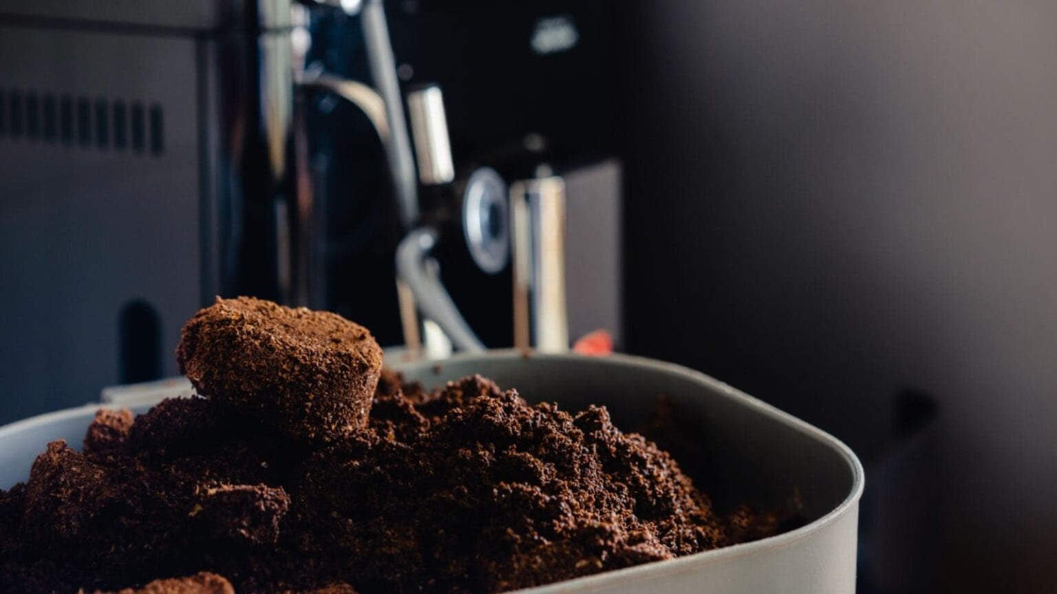 Using Coffee Grounds for Plants: A Beginner's Step by Step Guide