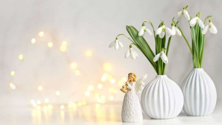 Birth Flowers for January: Meanings, History, and Symbolism