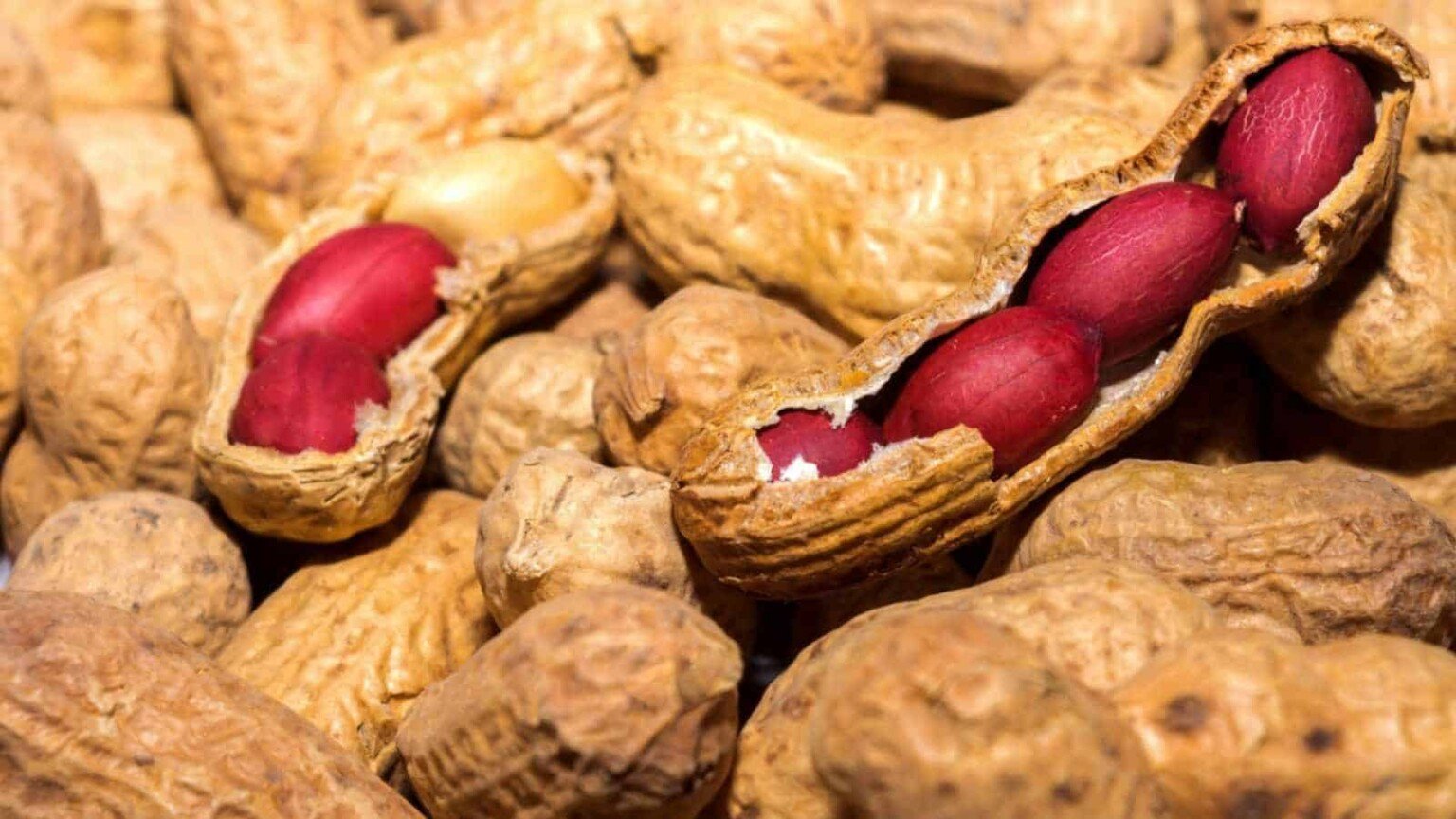 How to Plant, Grow, and Harvest Peanut Plants