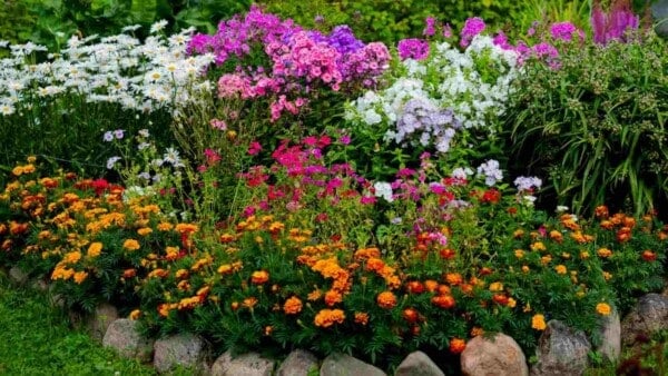 11 Perennials You Shouldn’t Cut Back in Fall
