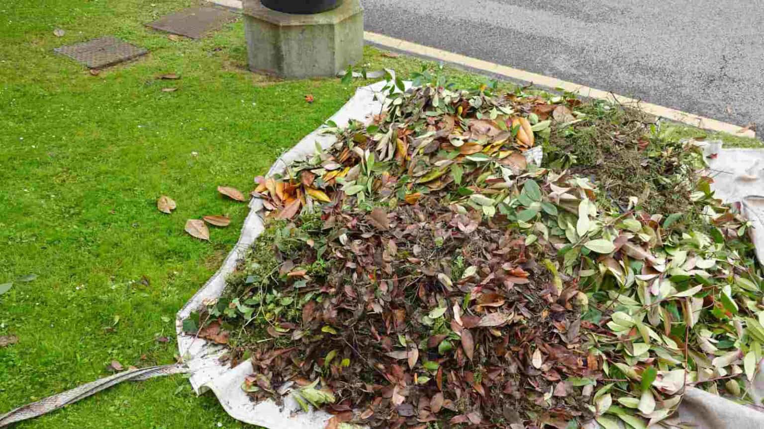 3 Best Ways to Start Composting Fall Leaves Today