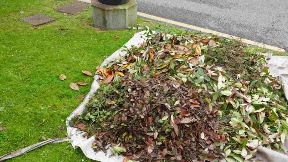 3 Best Ways to Start Composting Fall Leaves Today