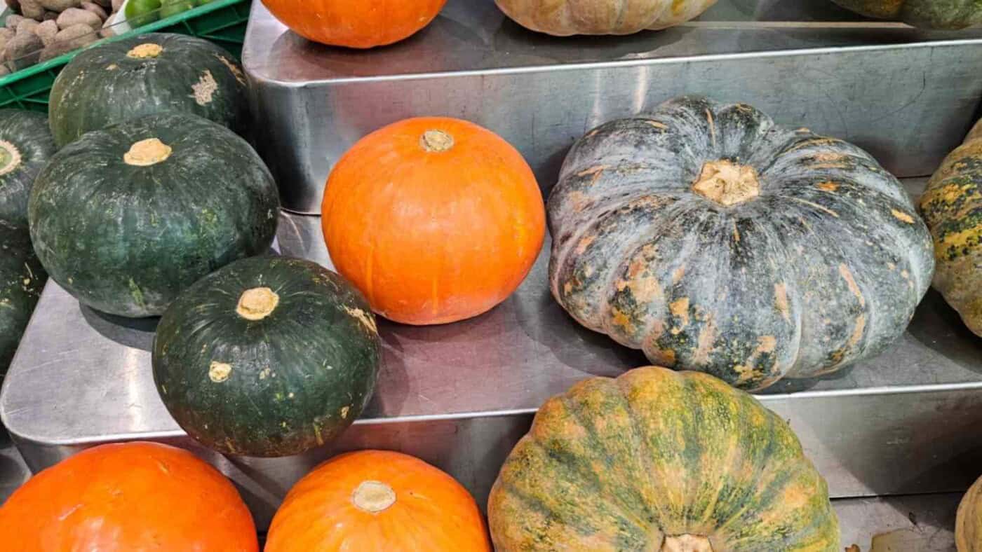 9 Interesting and Unique Pumpkin Varieties to Look for This Fall