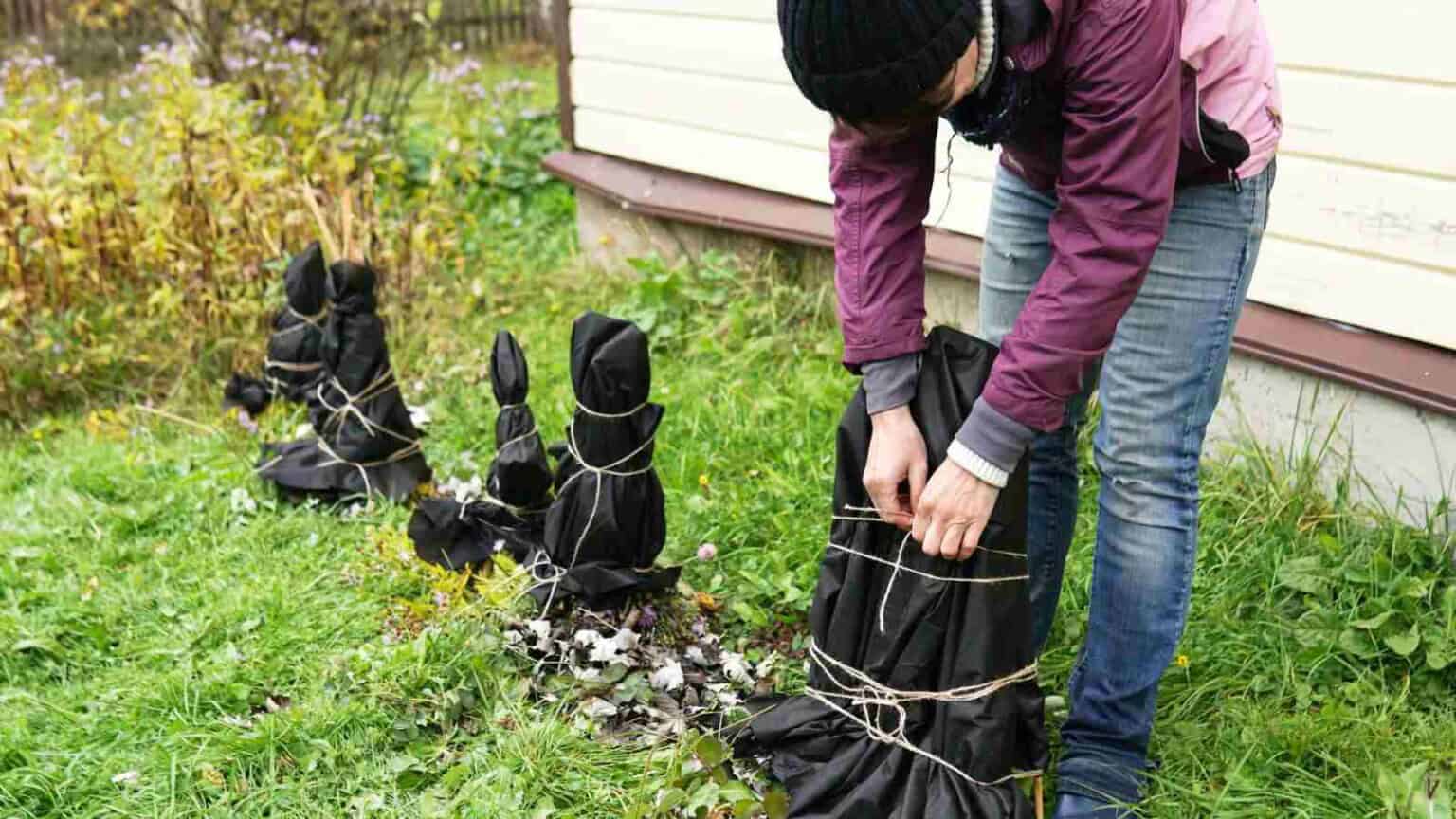 How to Keep Potted Plants From Freezing Outside (12 Methods)